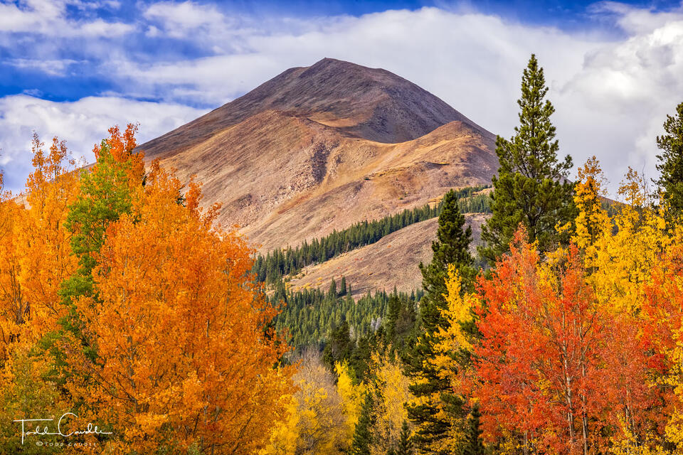 Boreas Peak Aspen Frame | Boreas Pass, Colorado | Skyline Press
