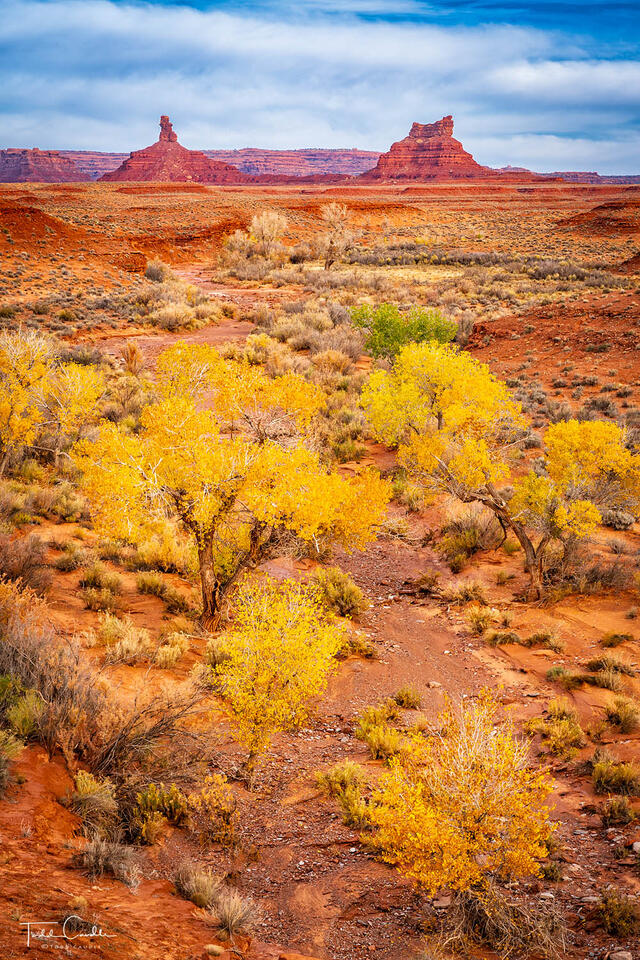 Cottonwood Wash | Valley of the Gods, Utah | Skyline Press