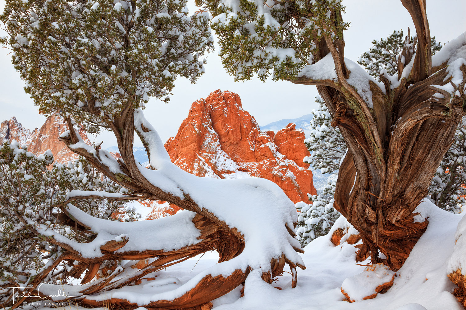 One-Seed Juniper Frame & South Gateway Rock | Garden of the Gods ...
