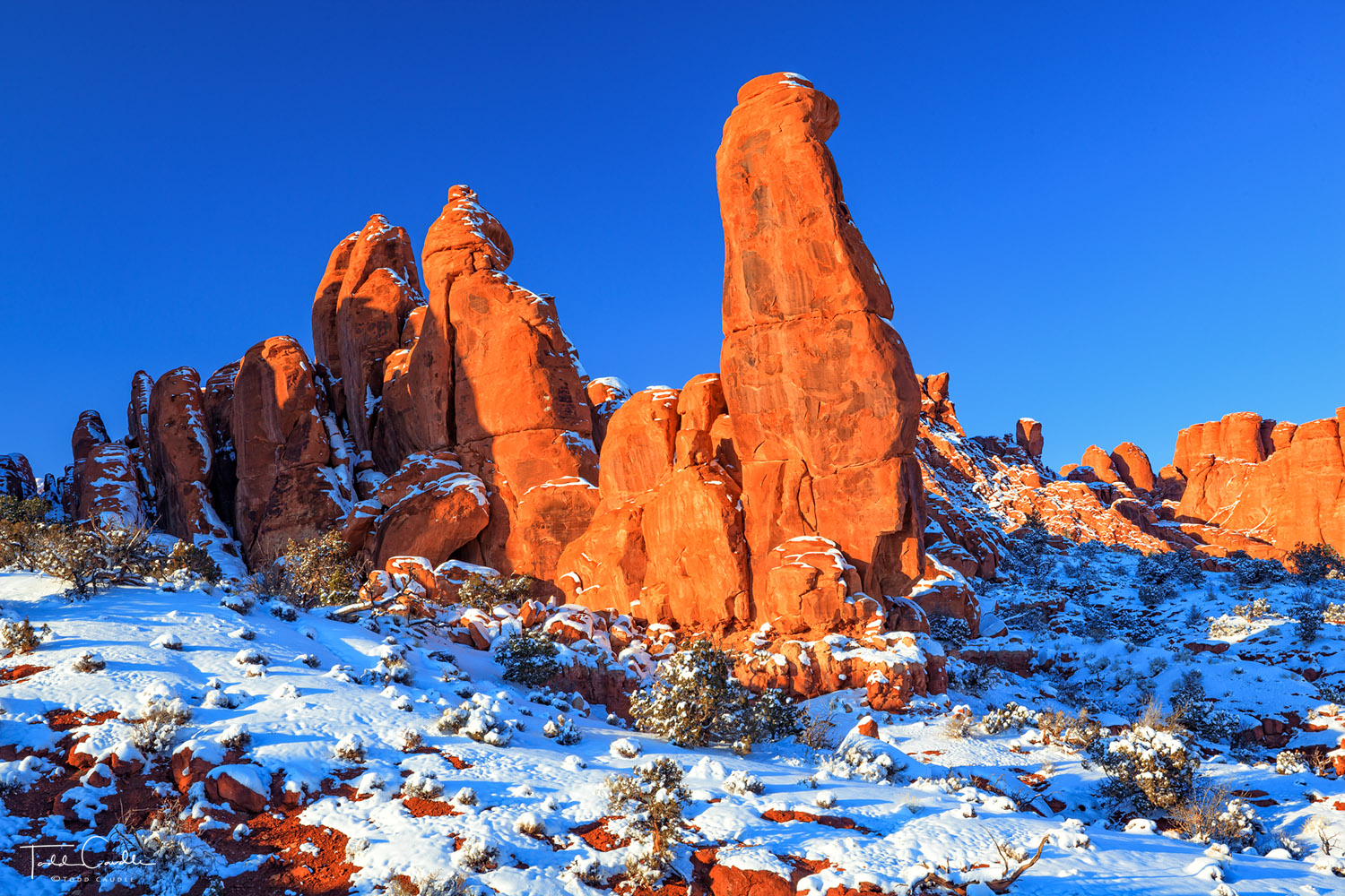 Sandstone Fins at Fiery Furnace | Arches National Park, Utah | Skyline ...