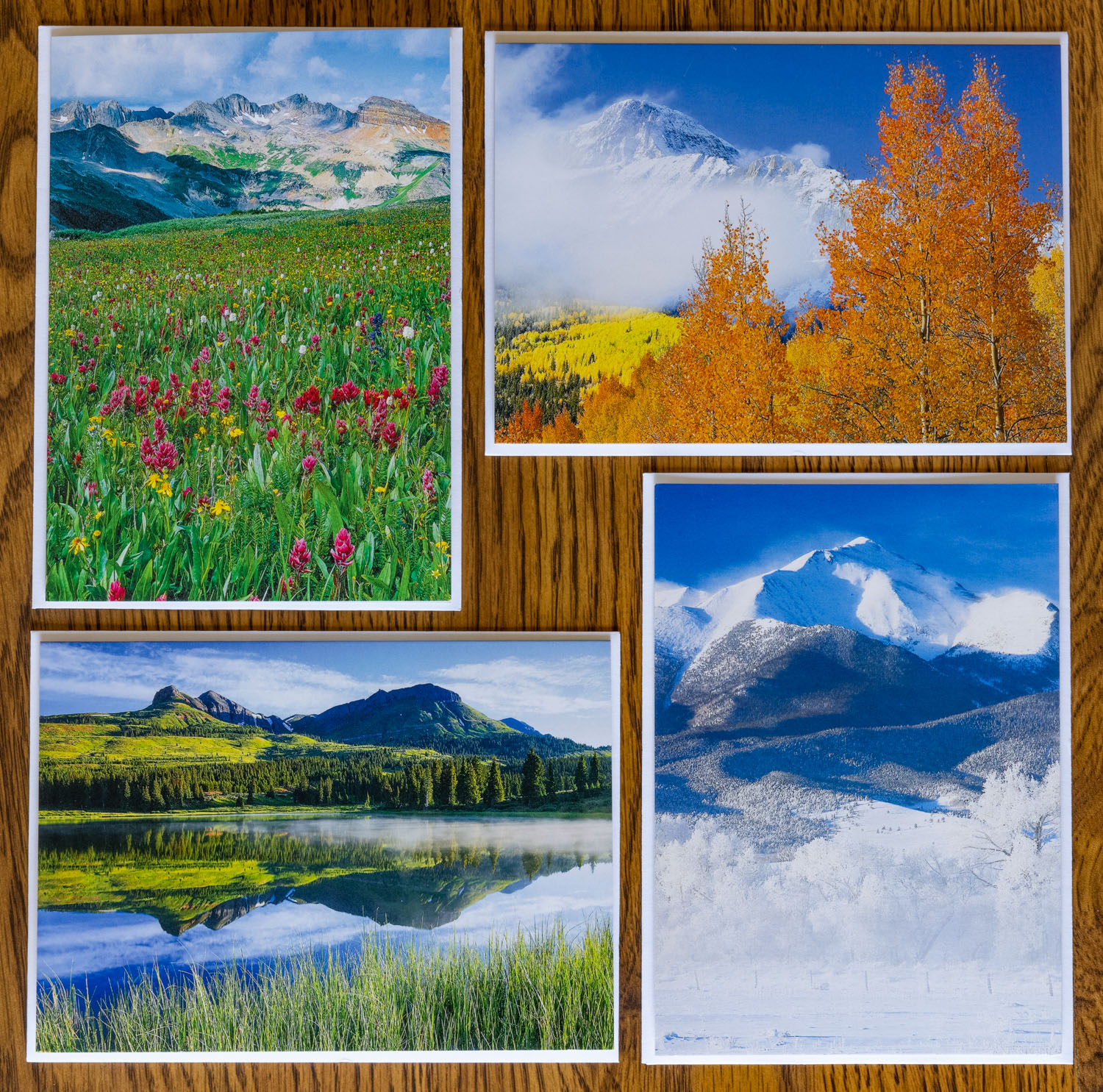 NC1 Colorado Four Seasons Skyline Press NC1 Colorado Four Seasons Skyline Press